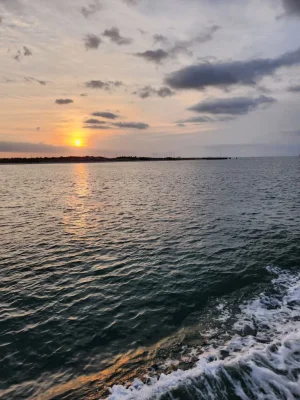 Carolina Princess 2024 | North Carolina Hunting and Fishing Forums