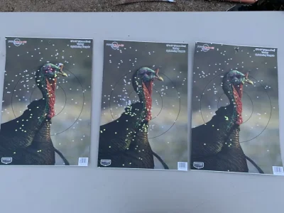 Some 410 Patterns with TSS | North Carolina Hunting and Fishing Forums