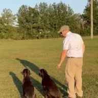 Farm Use Tag | North Carolina Hunting and Fishing Forums