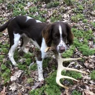 Farm Use Tag | North Carolina Hunting and Fishing Forums